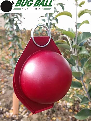 Apple Maggot Kits – Bug Ball