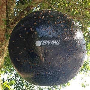 Bug Ball Kits